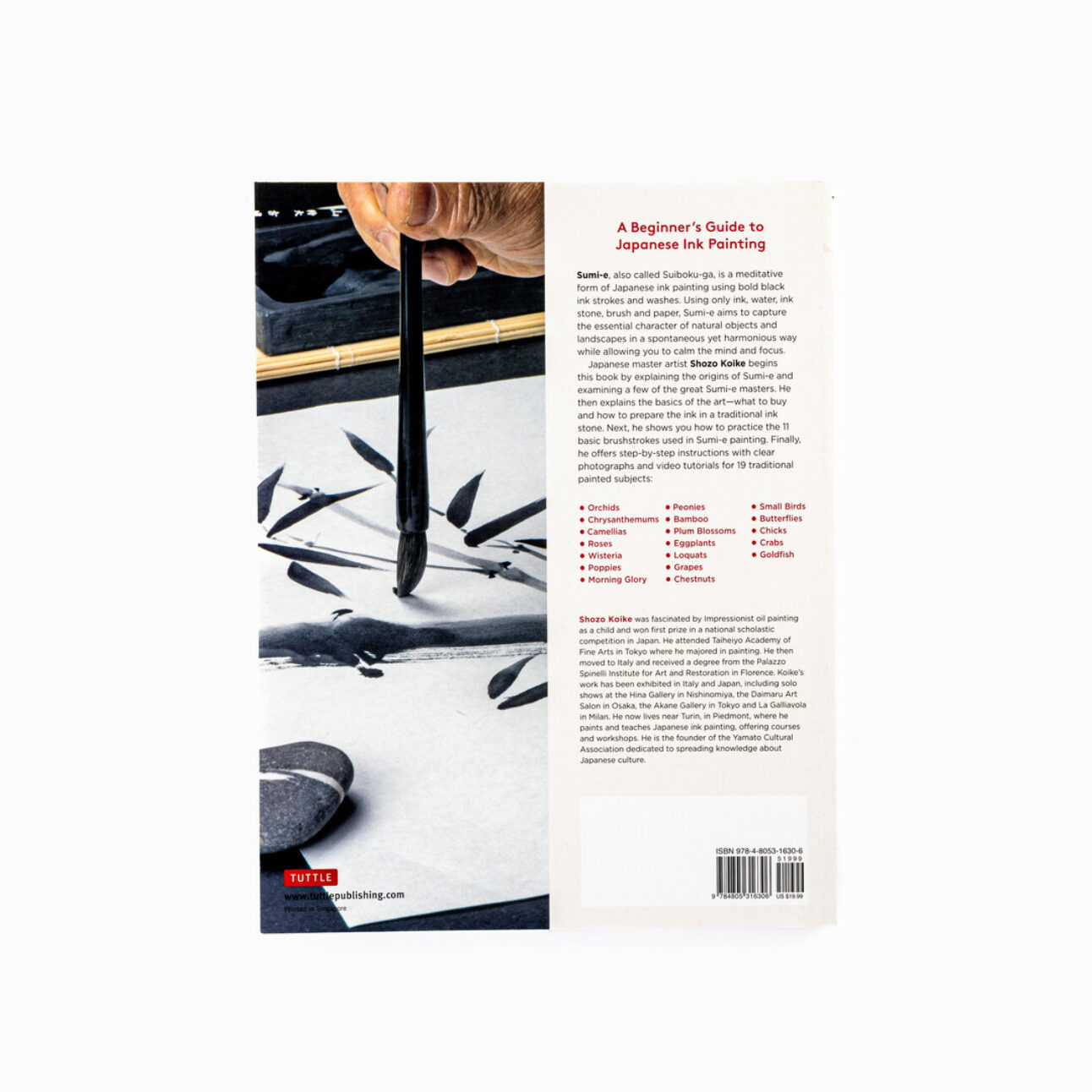 A Beginner's Guide to Sumi-e: Learn Japanese Ink Painting from a Modern ...