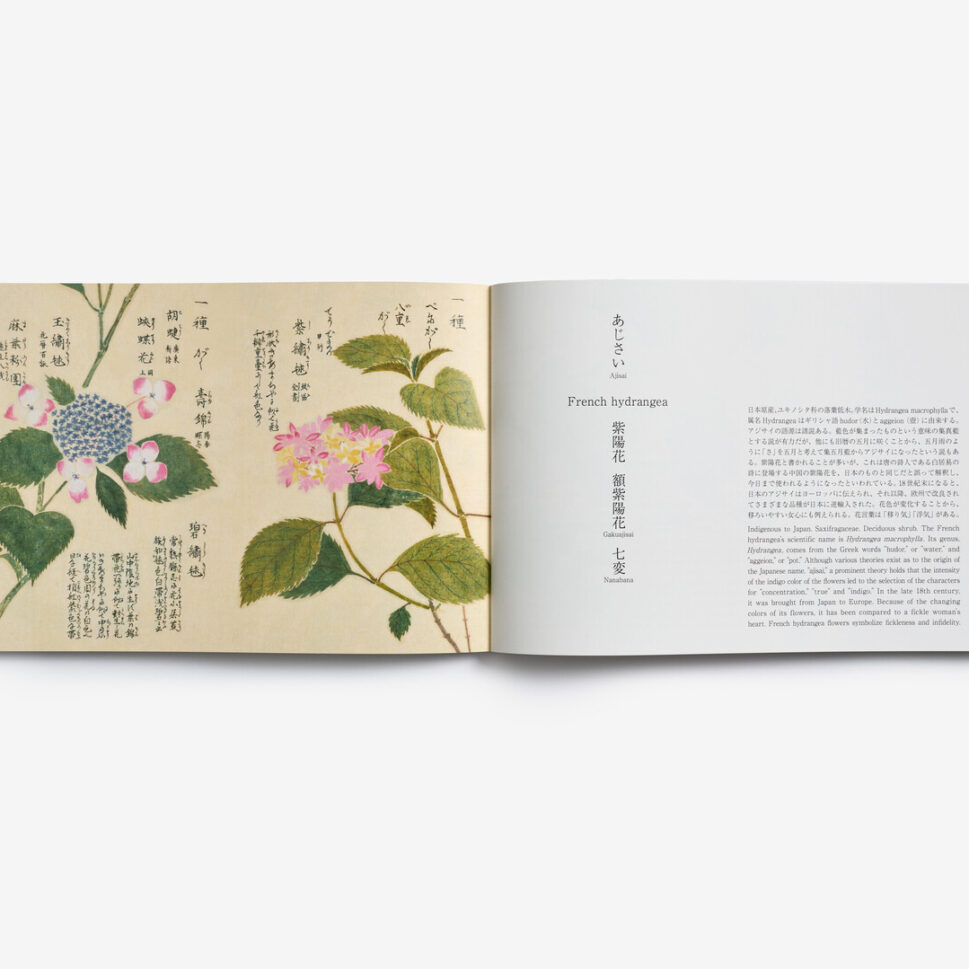 Flowers of Edo: A Guide to Classical Japanese Flowers - Japan House London
